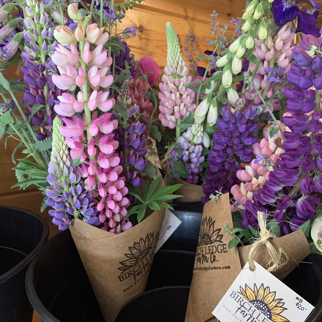 Flower Farmers in Sterling, Ct. – Art and Musings by Marnie